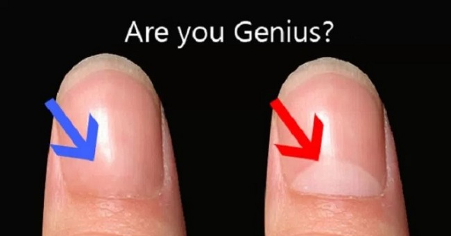 Are you a genius and you don’t even know about it? Here are the signs ...